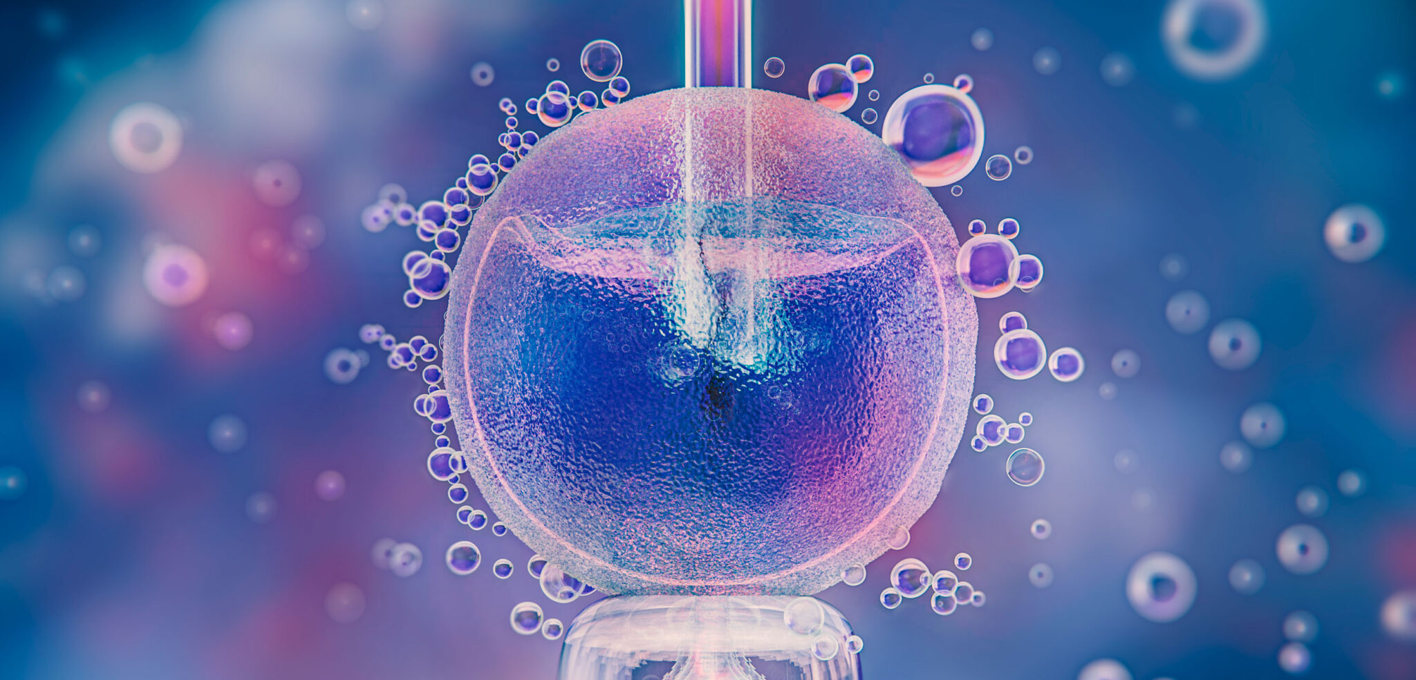 La evidencia está ahí: La fecundación in vitro es una cultura de usar y ...