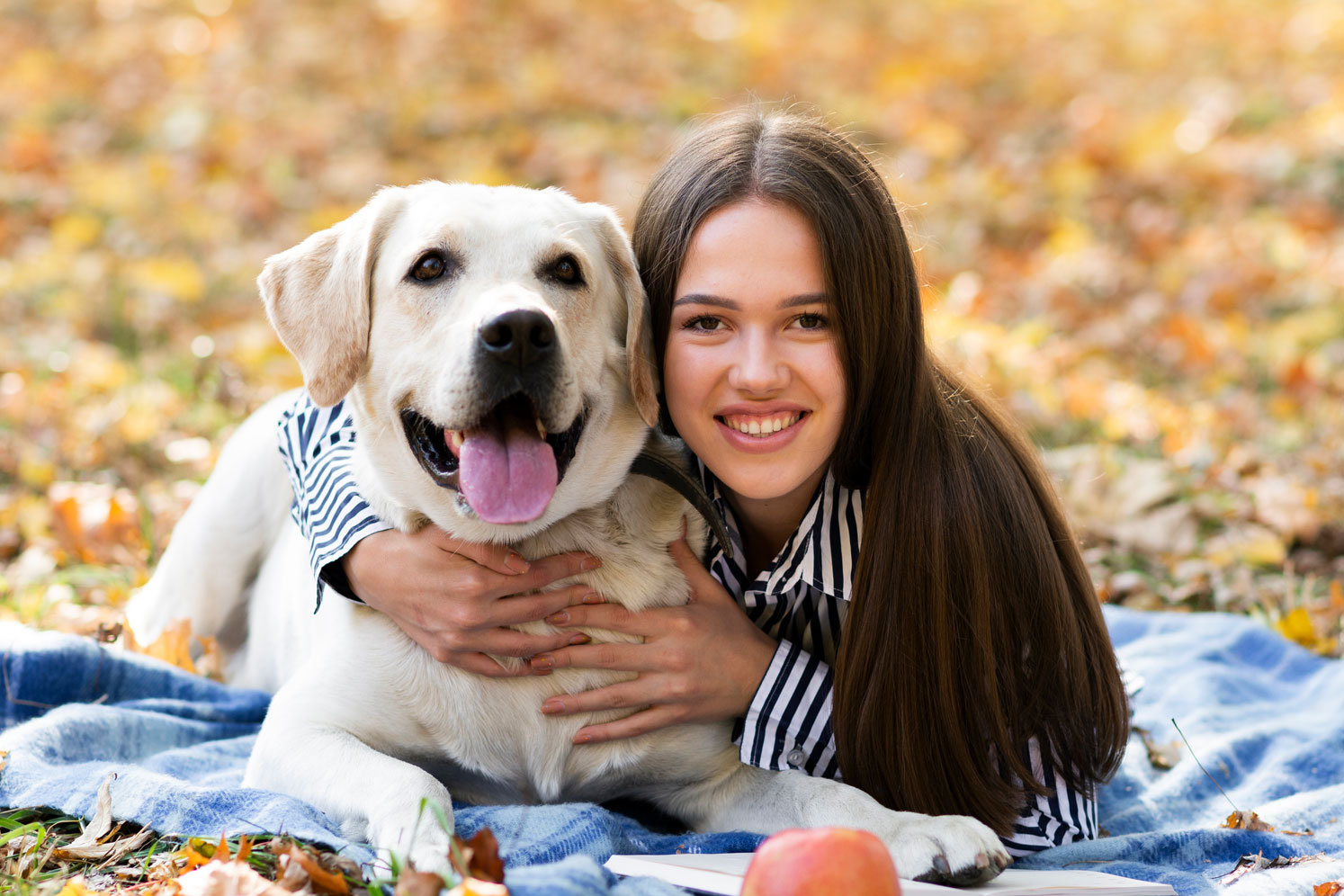 ¿Tener una mascota en casa es benéfico para la familia?